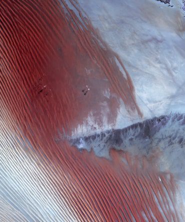 Brilliant Visions: Peyote among the Aesthetes - HuFu - Interactive ...